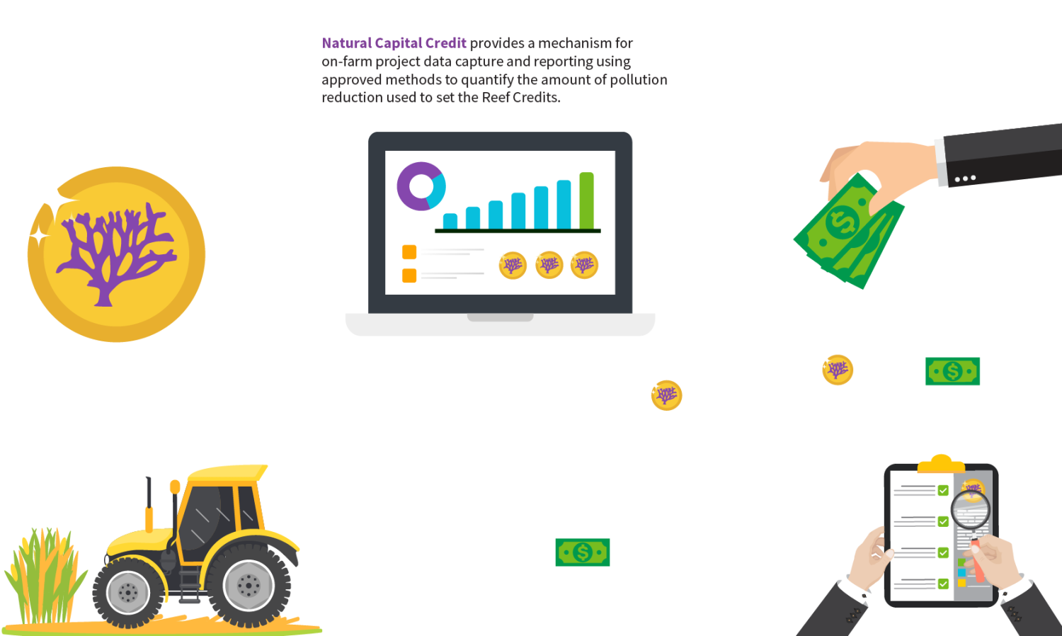 Natural Capital Credit – Natural Capital Suite